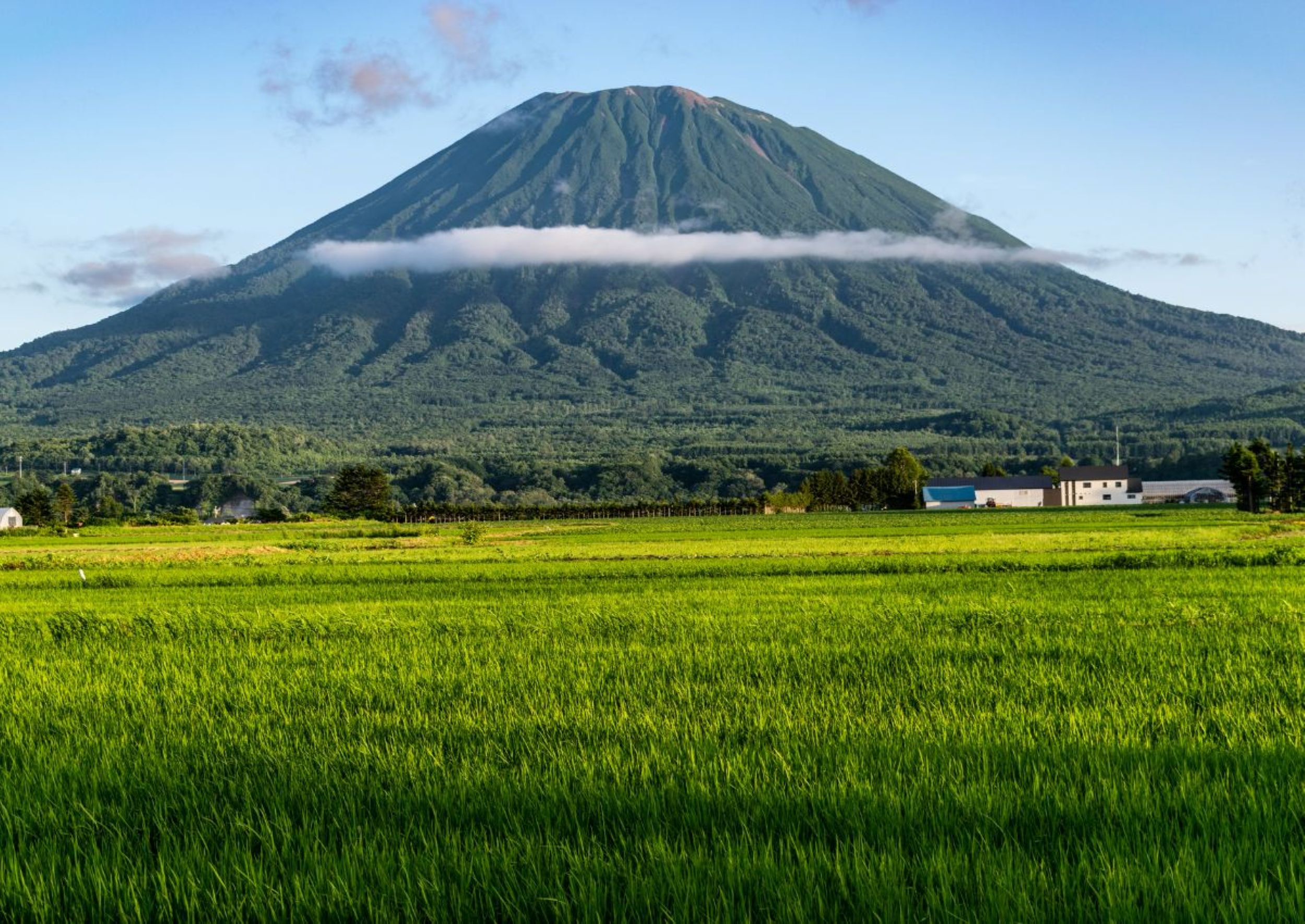 Wanderung auf den Mt. Yotei - Ausflug in Japan - Japanspecialist